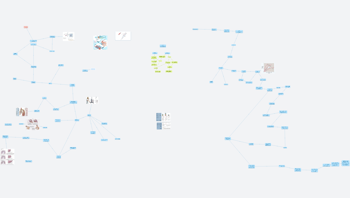 Mechanika dýchání - OrgPad