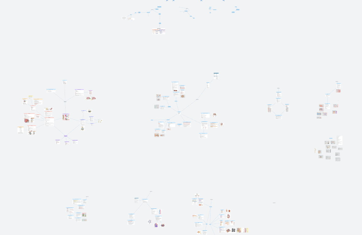 mammalian phys ALL CHAPTERS - OrgPad